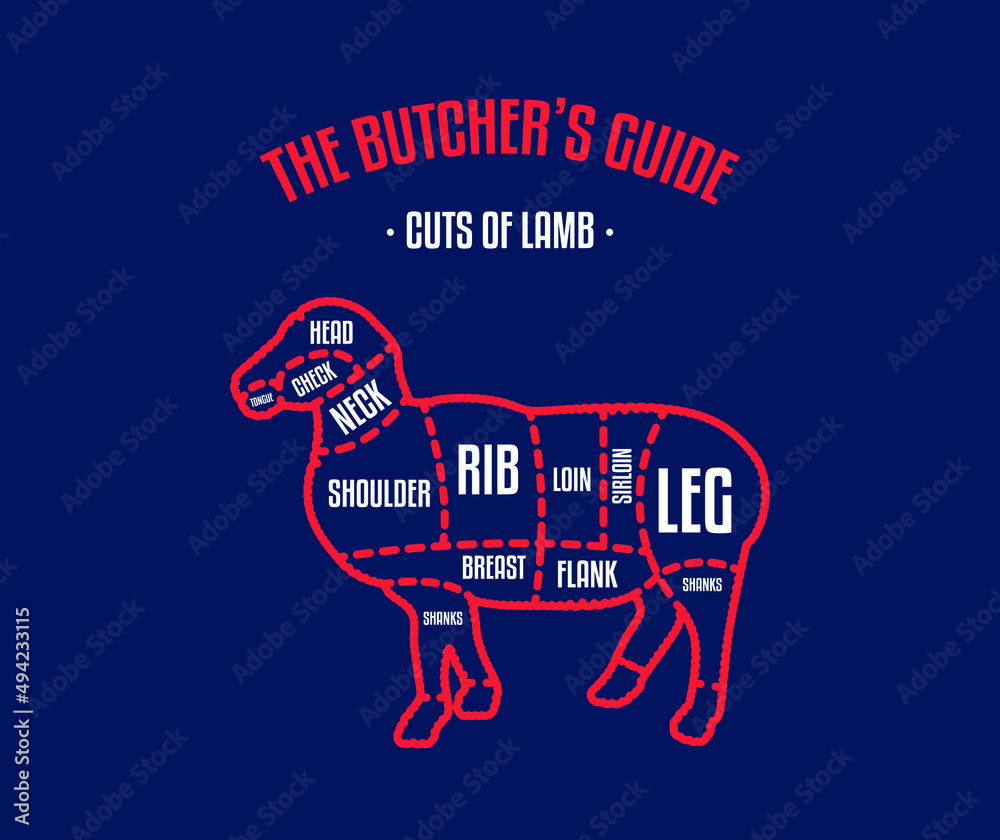 Meat and Beef cuts. Diagrams for butcher shop. Scheme of beef. Vector ...