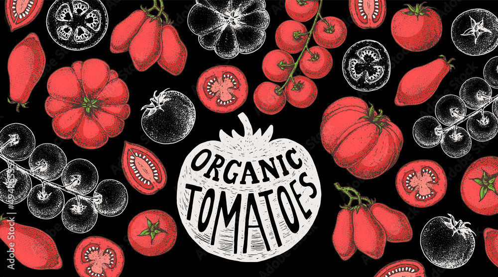 Tomatoes hand drawn illustration. Organic tomato design template ...