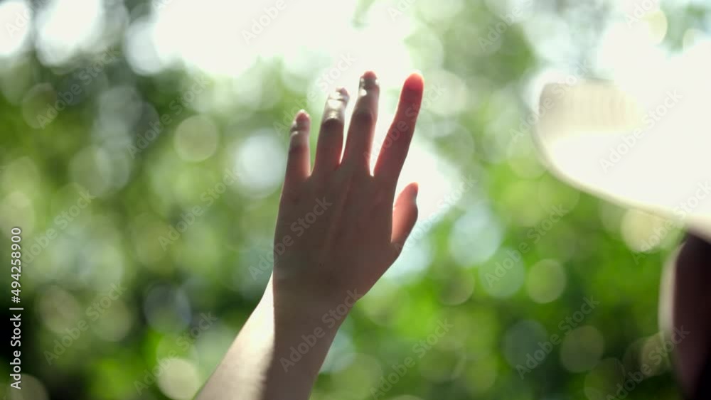 Female hand touching leaf of nature with sunlight. Green environment ...