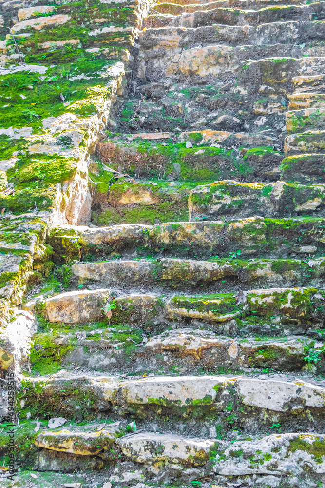 Ancient Mayan site texture temple ruins pyramids artifacts Muyil Mexico ...