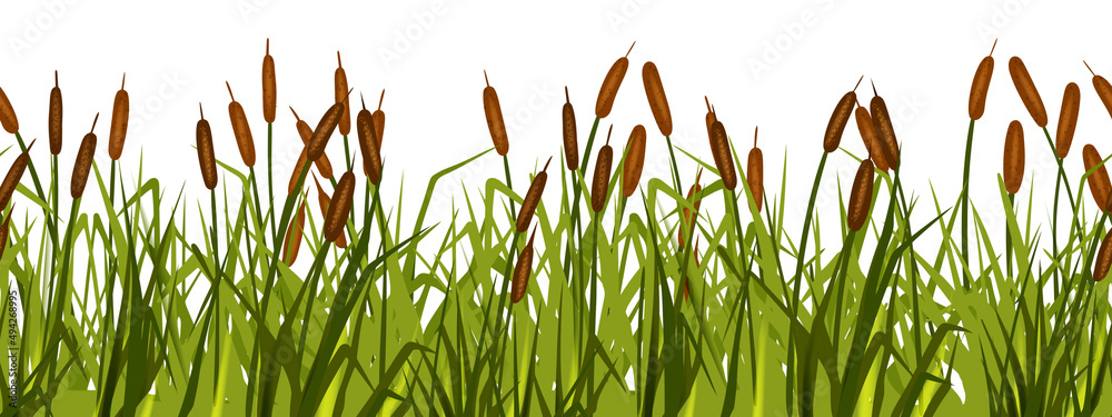 Marsh Grass Clipart