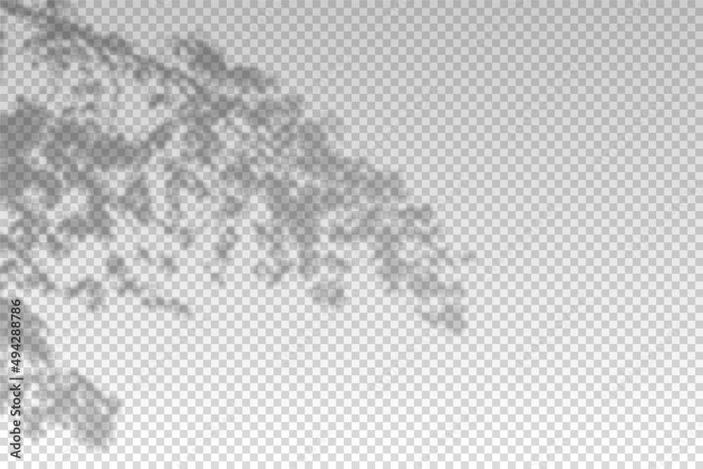 Shadow from the window. Reflected from sun light for effect overlay ...