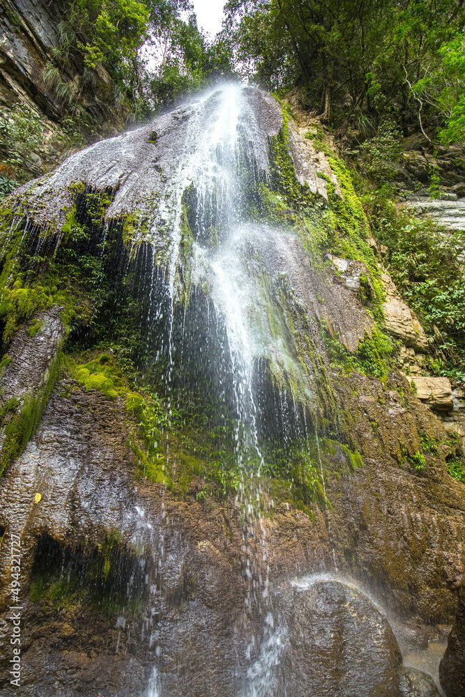 Las Pozas, a surrealist botanical garden in Xilitla Mexico by Edward ...