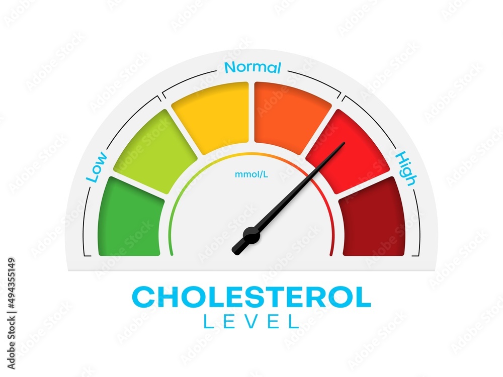 Cholesterol level meter with high and low fat test, vector blood risk ...