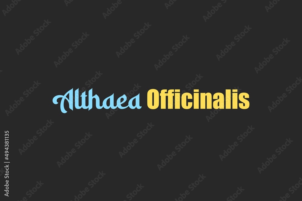 Althaea Officinalis medicinal element typography text vector design ...
