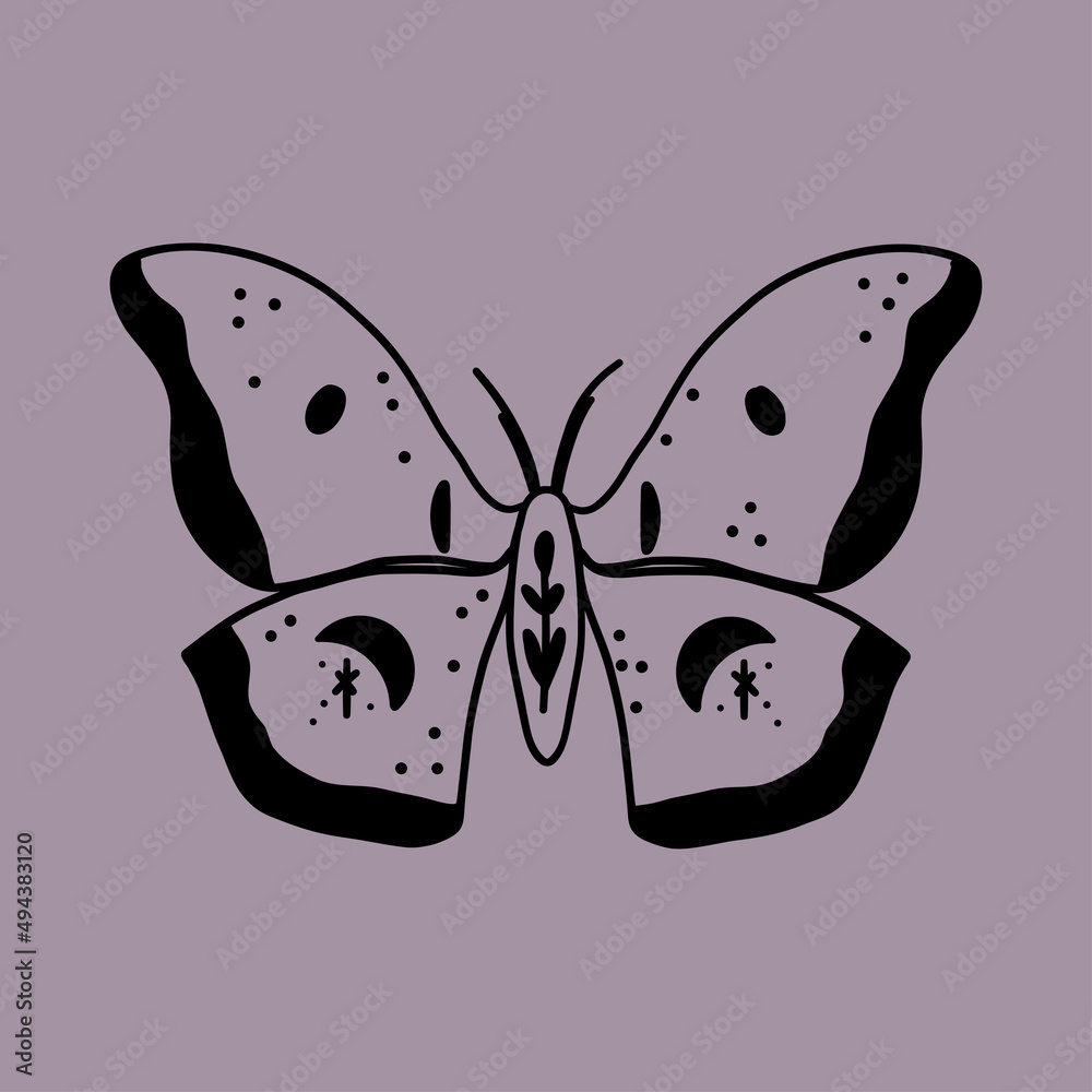 Moth line drawing. Hand drawn Acherontia Styx butterfly isolated on ...
