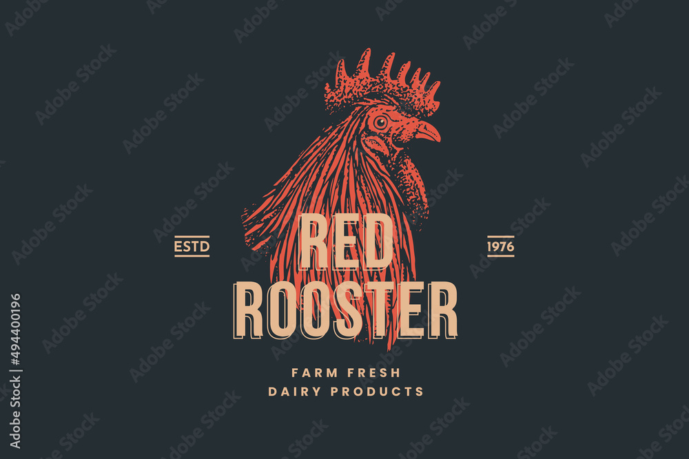 Rooster head. Hand-drawn retro picture with a bird in engraving style ...