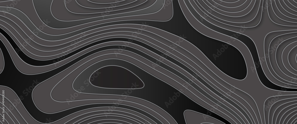 Background of the topographic map. Topographic map lines, contour ...