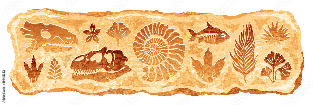 Fossil vector. Archeologic fossil dig set. Dinosaur dino foot, sea ...