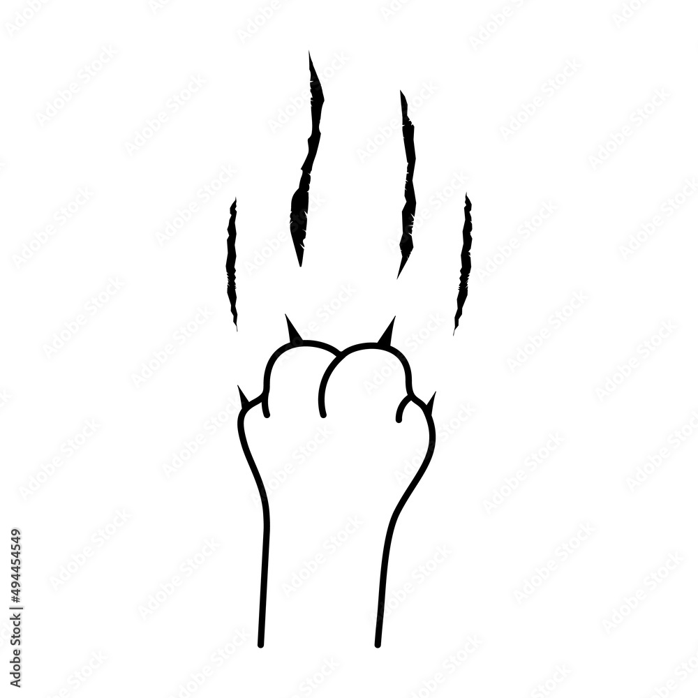 The cat's paw scratches the skin with sharp claws. Traces from the ...