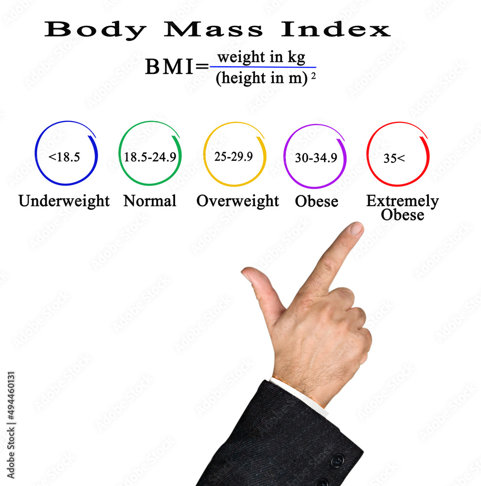 Body mass index: healthy and unhealthy Stock Photo | Adobe Stock
