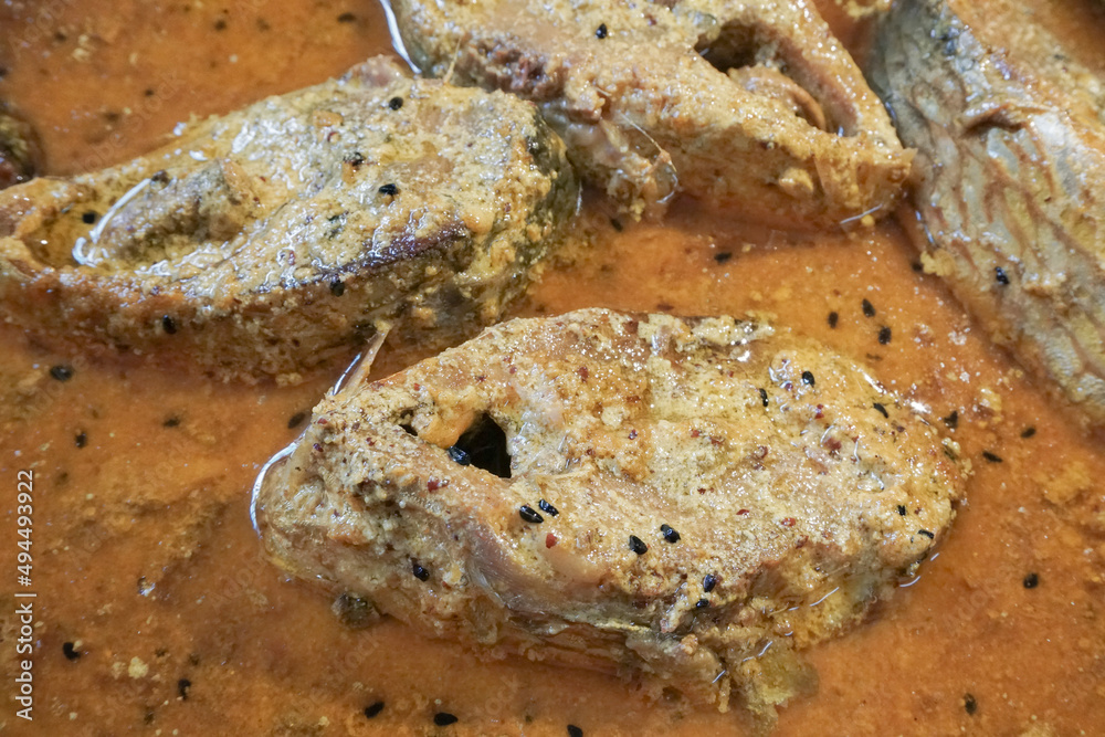 Tenualosa ilisha (ilish, hilsa, hilsa herring or hilsa shad) fish ...