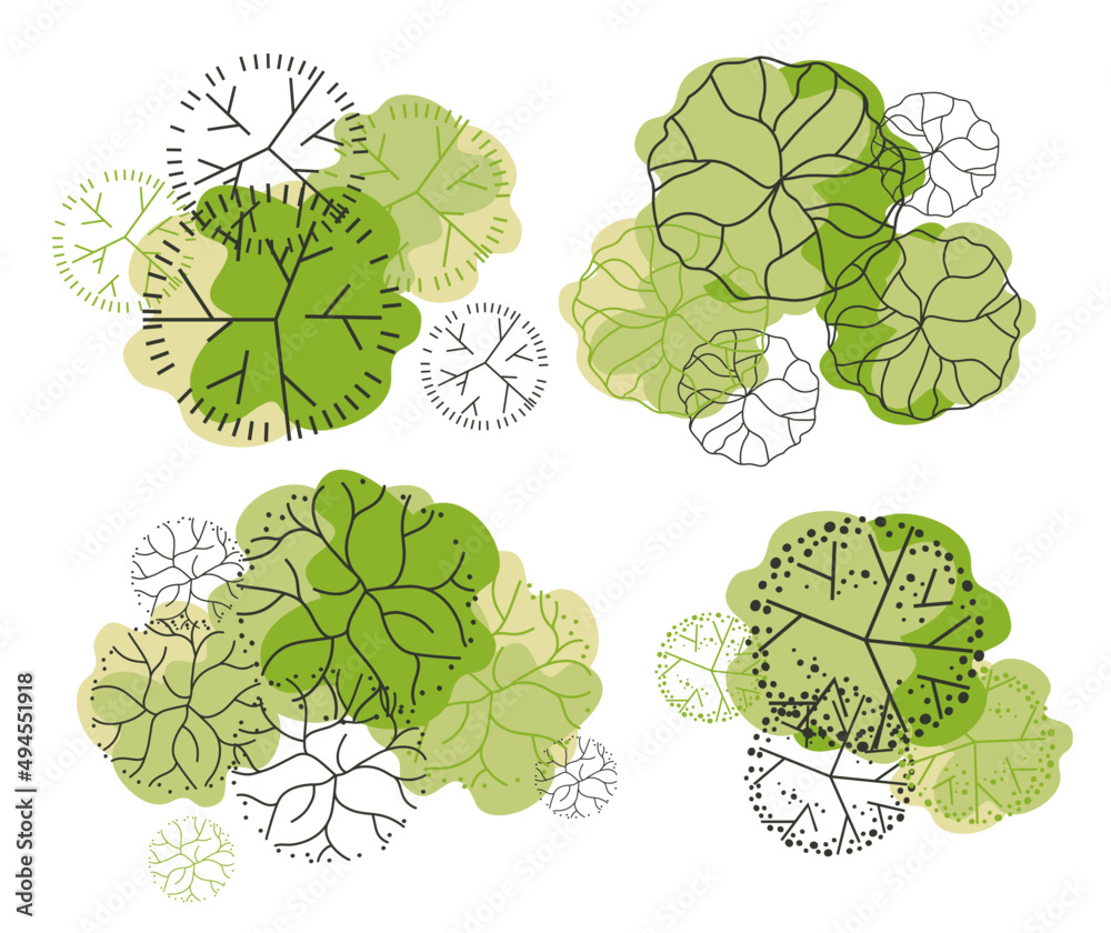 Tree for architectural floor plans. Entourage design. Various trees ...