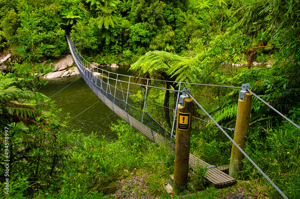 Footbridge for hikers over the Otaki River in the Otaki Forks area of ...