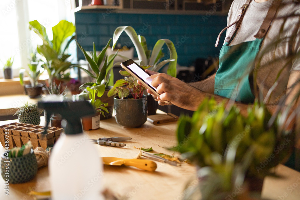 Exploring about plants on internet Stock Photo | Adobe Stock