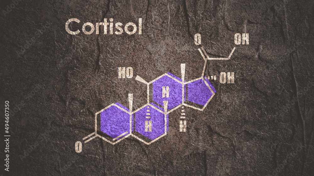 Poster Structural formula of human steroid cortisol hormone – Wall Art ...