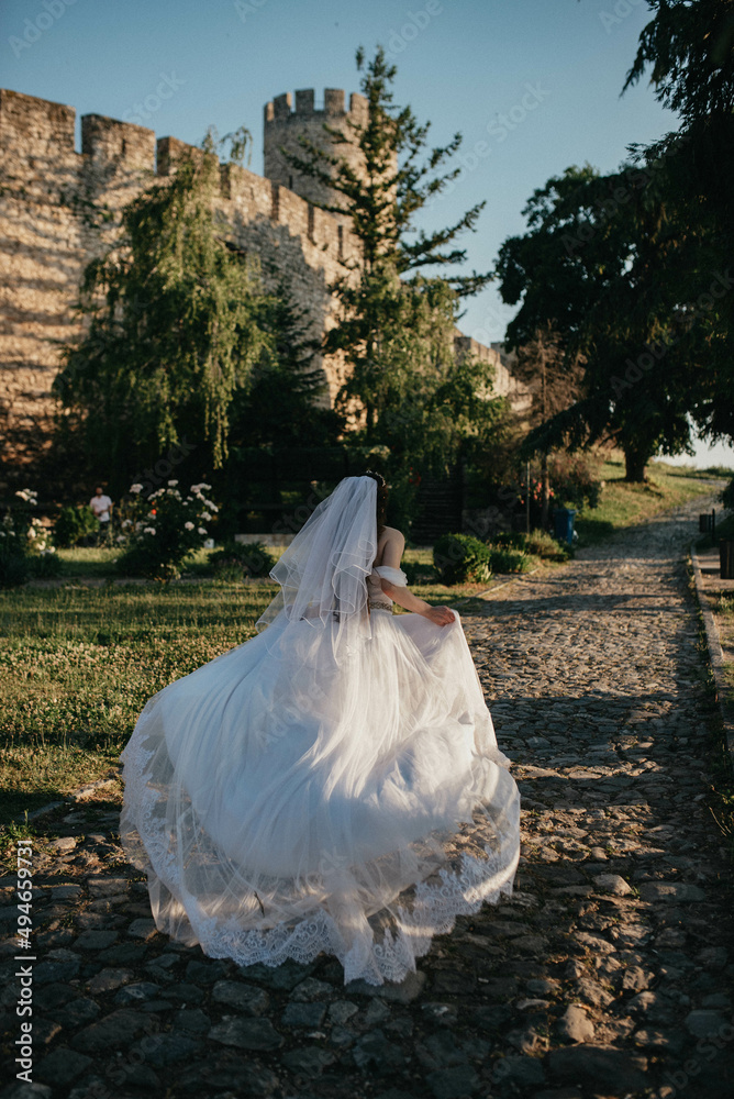 Woman in white dress back view. Bride back side view walking. Stock ...