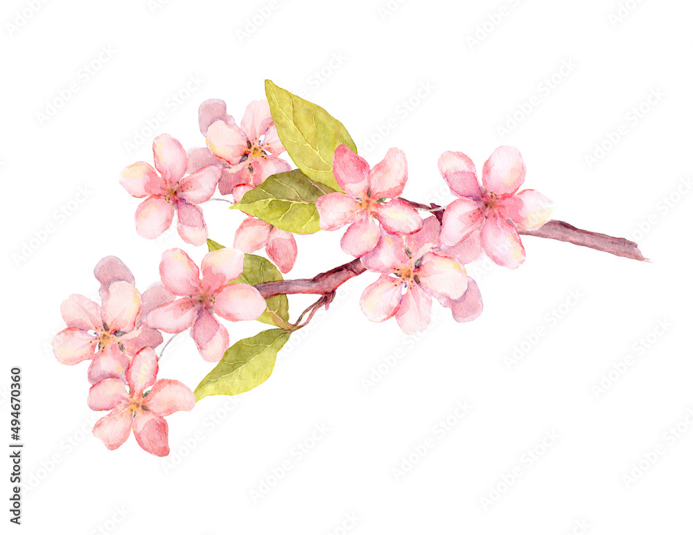 Apple Blossom Branch Painting