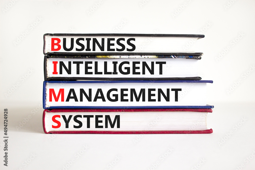 BIMS, Business intelligent management system symbol. Concept words BIMS ...