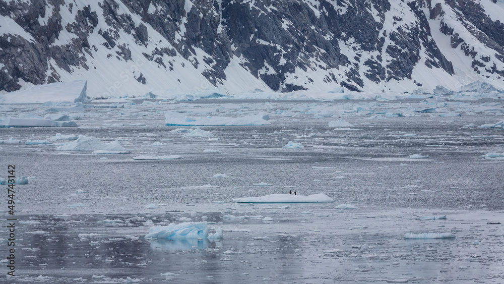 Kleinere Eisschollen und Treibeis vor einem Granitfelsen im ...