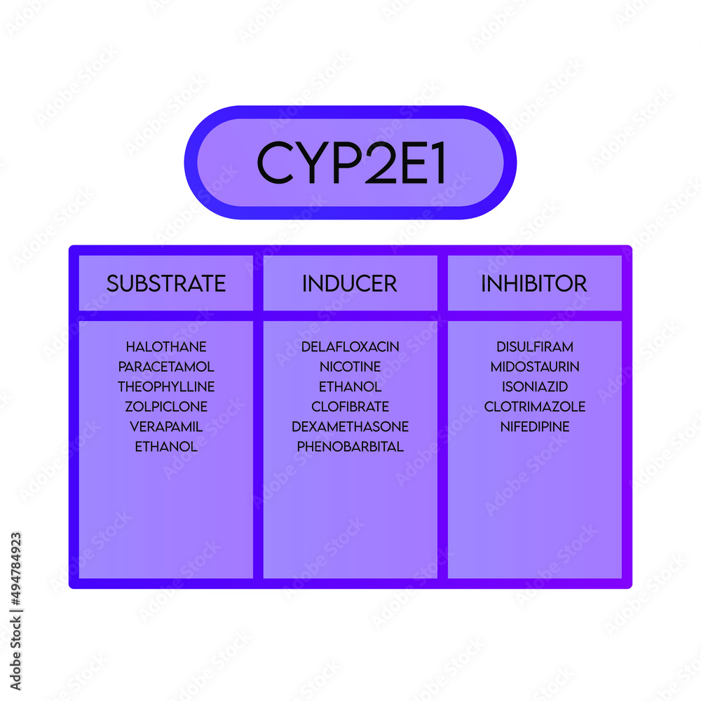 Stockvector CYP2E1 Cytochrome p450 enzyme pharmaceutical substrates ...