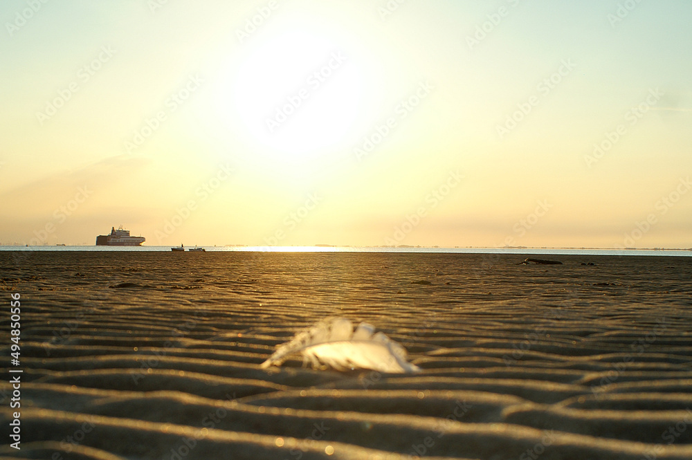 Hull to Rotterdam ferry, pride of Hull. at 215 metres long the Pride of ...