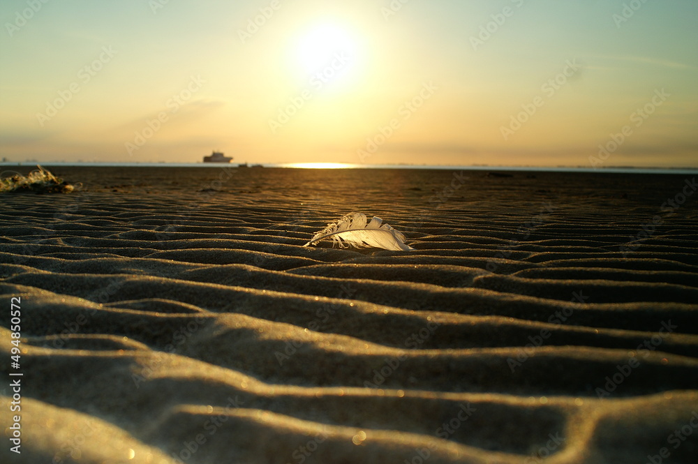 Hull to Rotterdam ferry, pride of Hull. at 215 metres long the Pride of ...