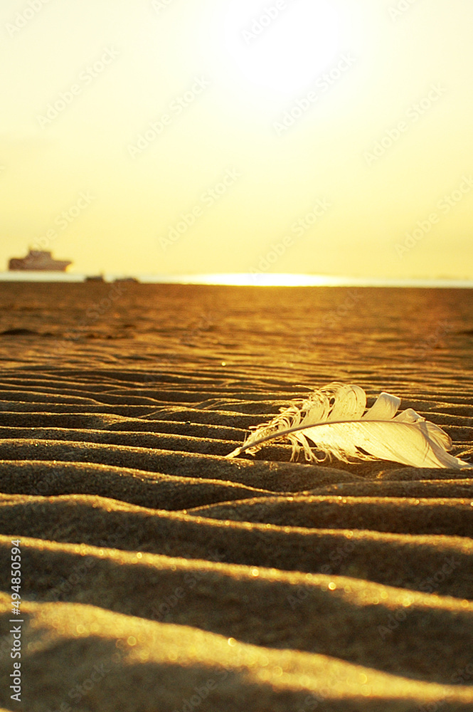 Hull to Rotterdam ferry, pride of Hull. at 215 metres long the Pride of ...