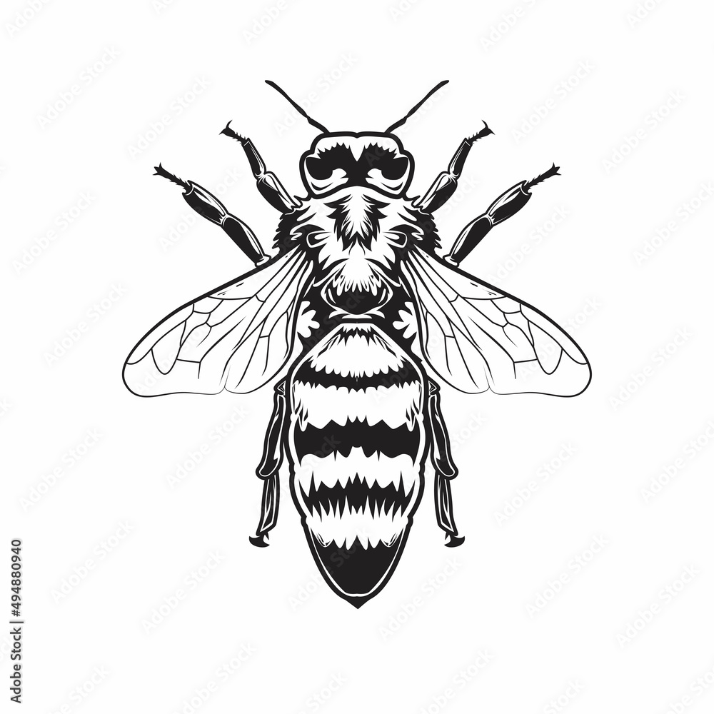 Line Art Bee Stock Vector | Adobe Stock