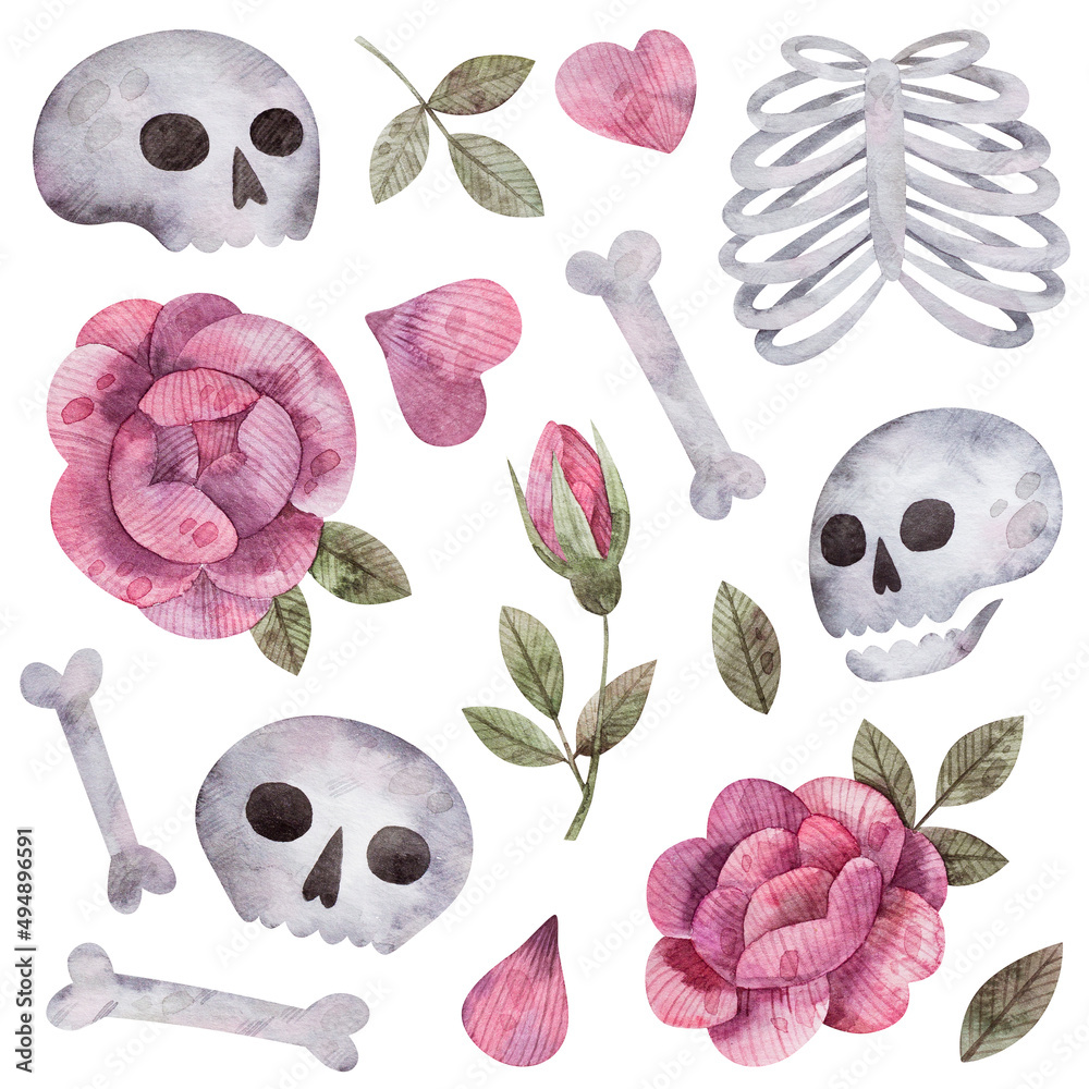 Skulls, bones and roses. Watercolor set of illustrations. Hand-drawn ...