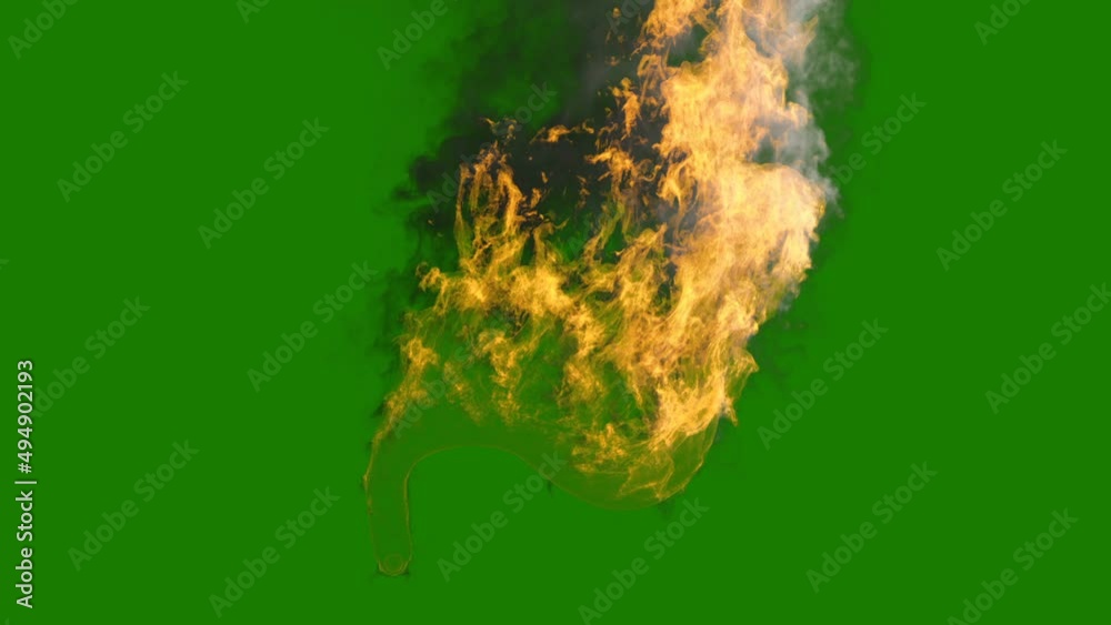 Realistic fire and smoke flow path with green background Or Green ...