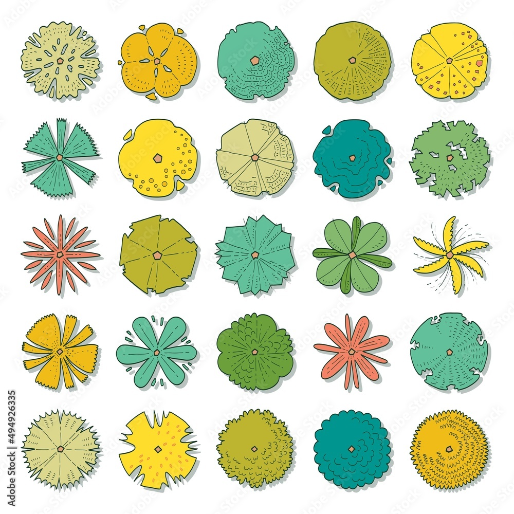 Hand drawn vector set of top view trees. Stock Vector | Adobe Stock