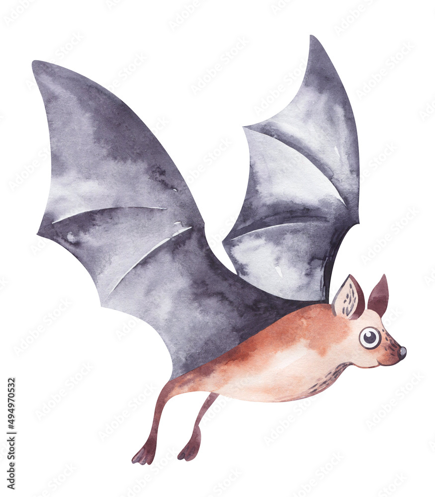 Flying fox. Watercolor illustration. Australian wild animals. Children ...