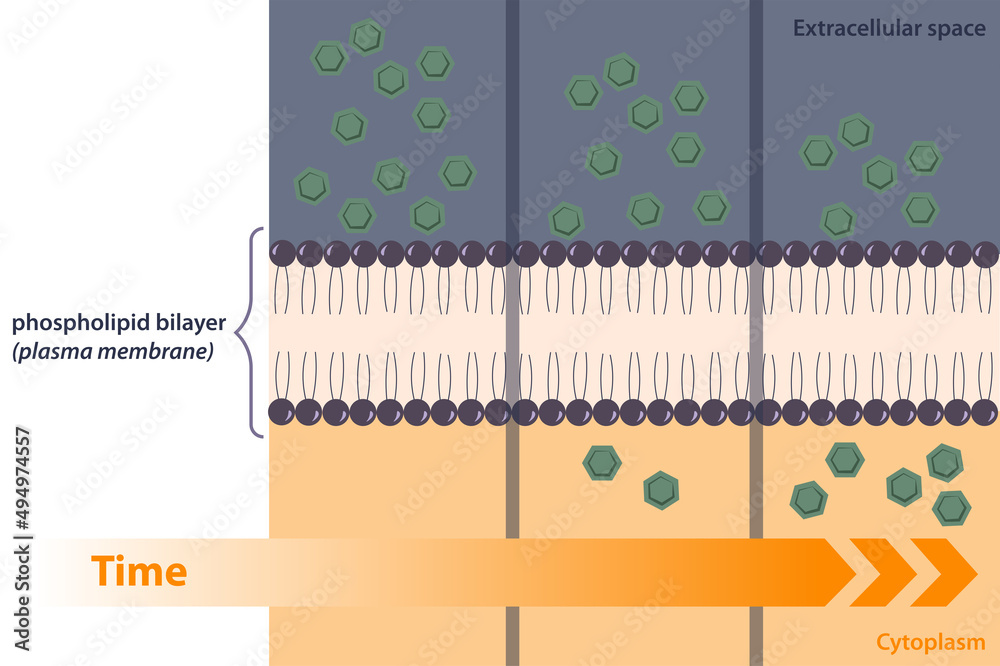 Simple Diffusion Diagram