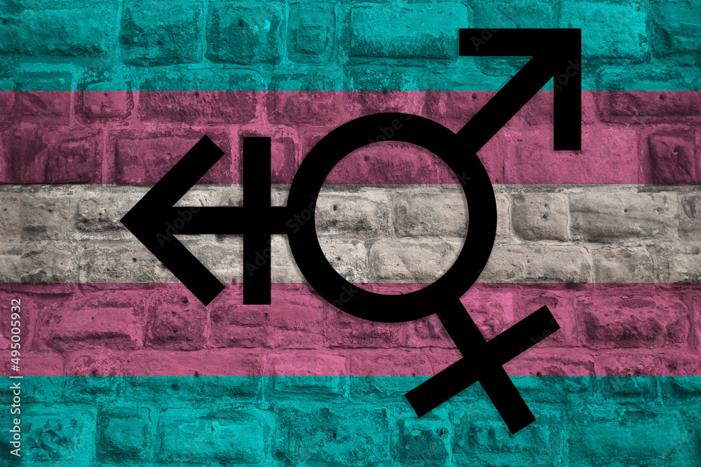 striped Nonbinary Trans Flag: Combining the Non-binary and Transgender ...