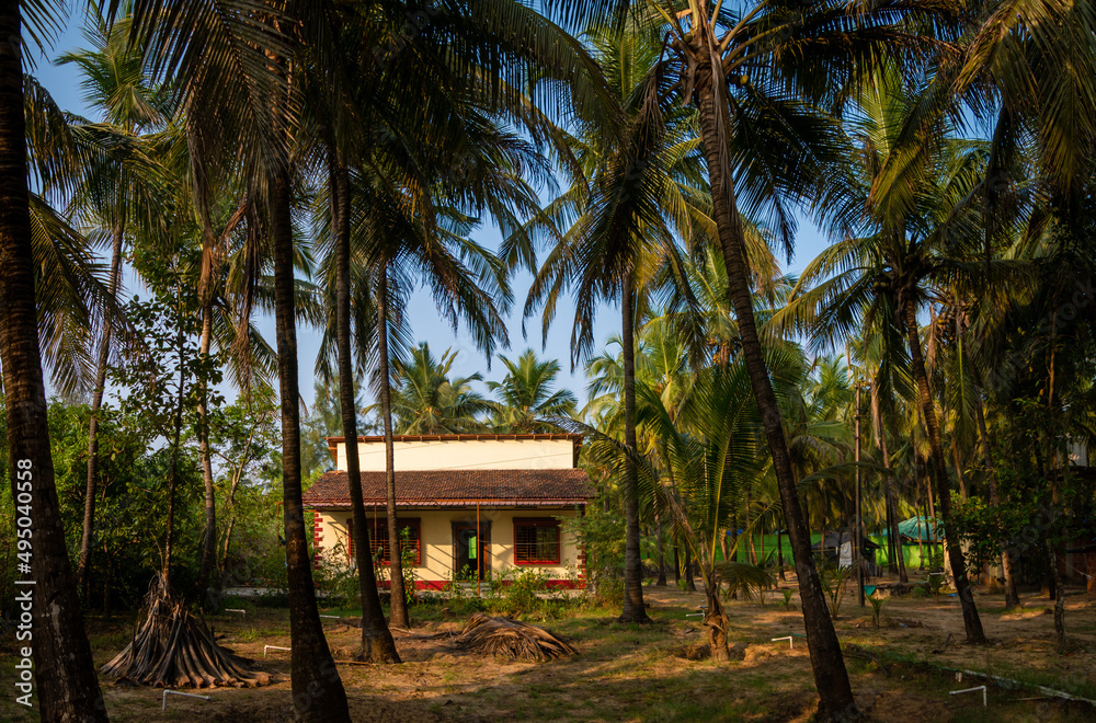 Indian house with traditional roof design at coastal side of ...