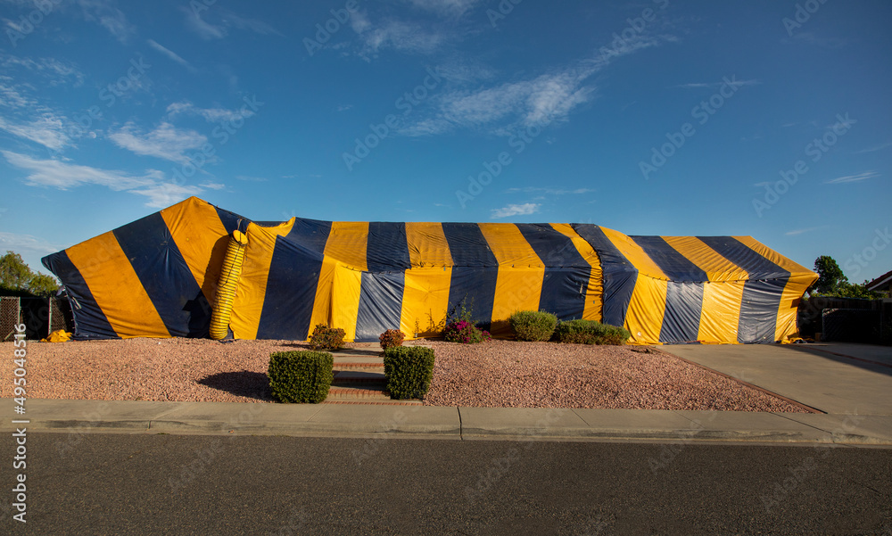Ranch style House covered in yellow and blue termite tent Stock Photo ...