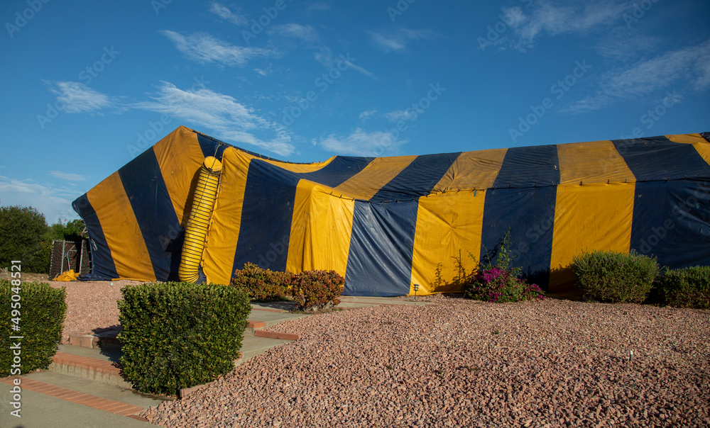 Ranch style House covered in yellow and blue termite tent Stock Photo ...