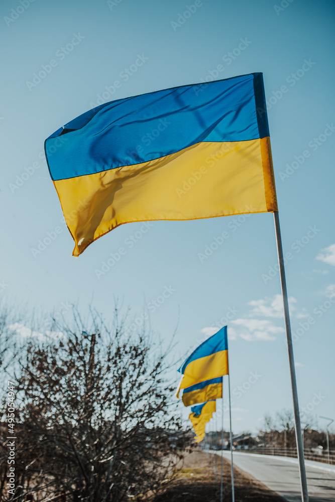 The flags of Ukraine are the national symbol fluttering in the blue sky ...