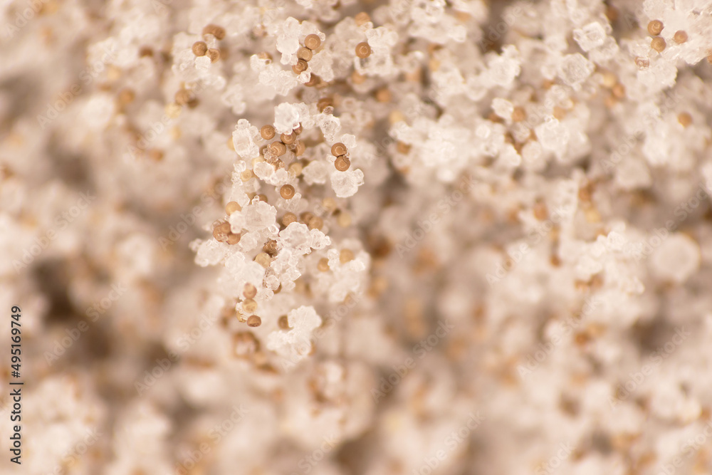 Foto de Brine shrimp - Artemia ready mix live food. Ready mix of ...