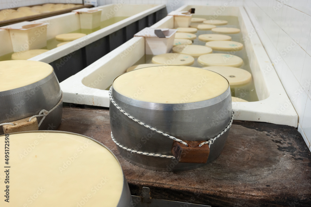 Process of making parmigiano-reggiano parmesan cheese on small cheese ...