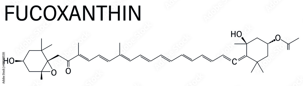 Fucoxanthin brown algae pigment molecule. Ingredient of some dietary ...