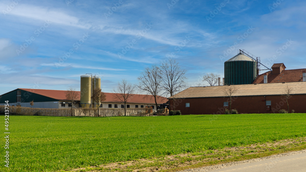 View on a cattle or pig farm with a silo storage and feeding system ...