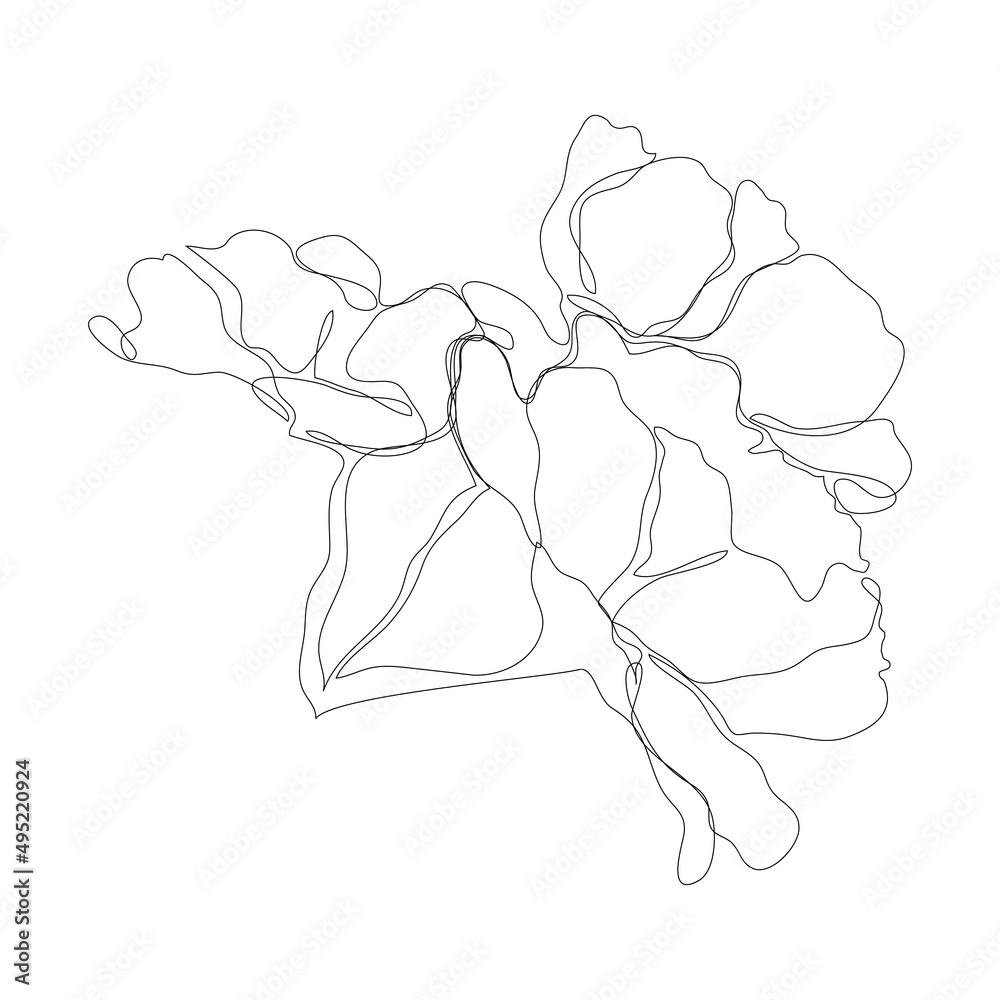 Continuous one line pion flower. Dark contour on white background ...