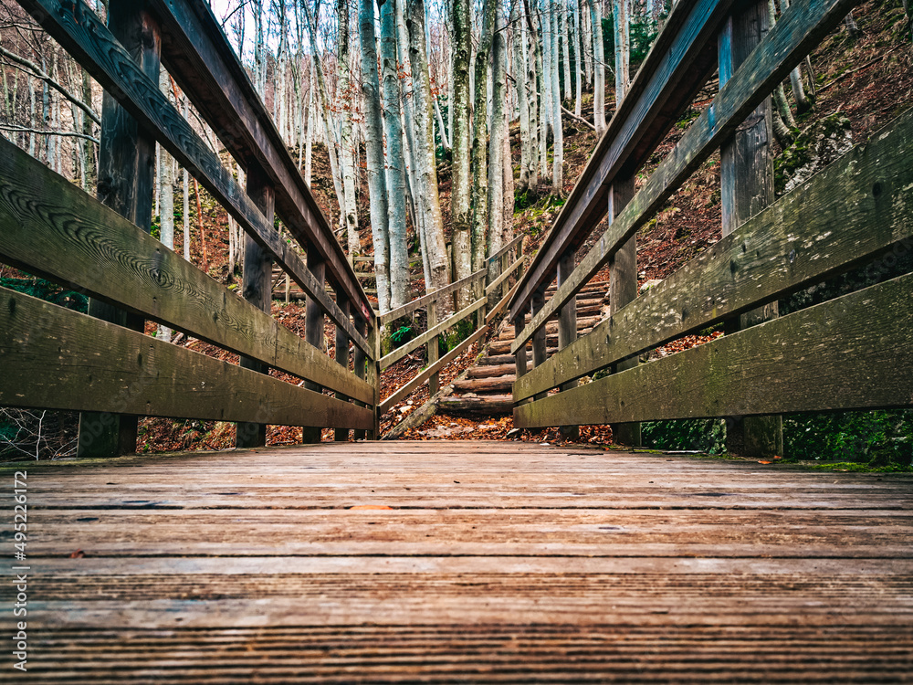 Poster Wooden observation deck over the Waterfall Ray Pic – Wall Art ...