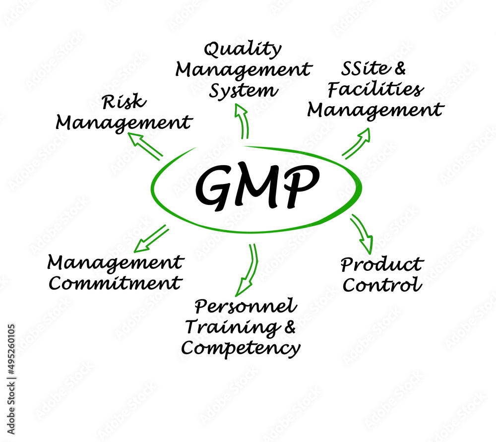 Components of good manufacturing practice (GMP) Stock Illustration ...