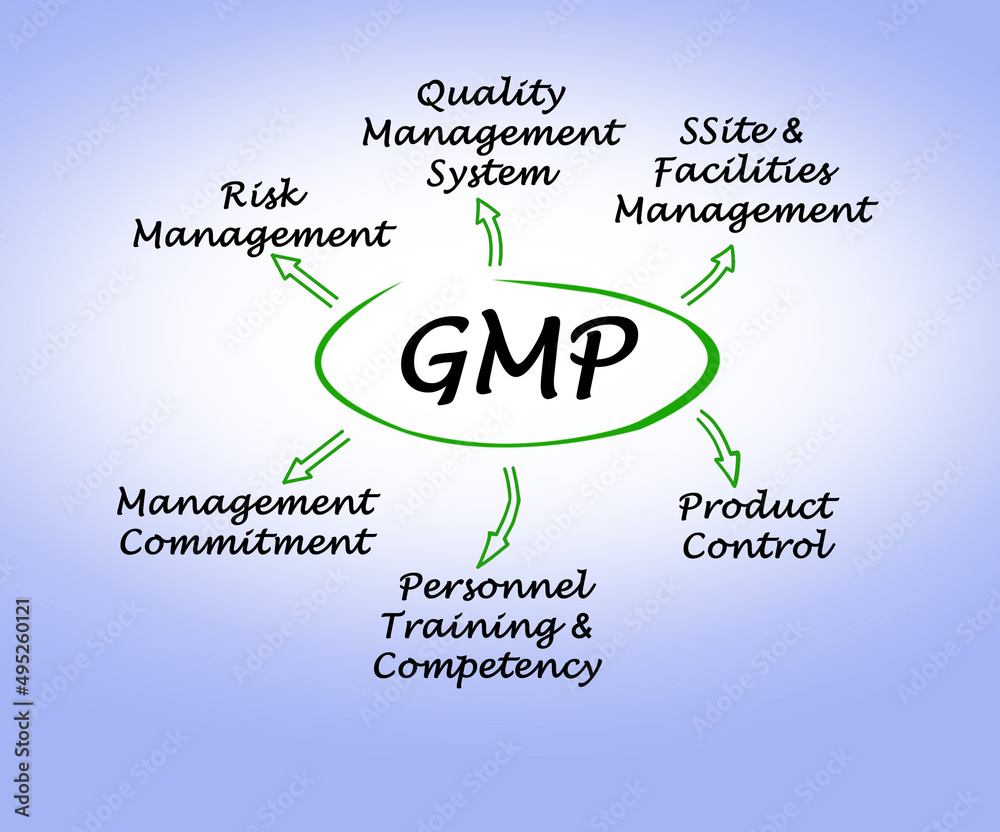 Components of good manufacturing practice (GMP) Stock Illustration ...
