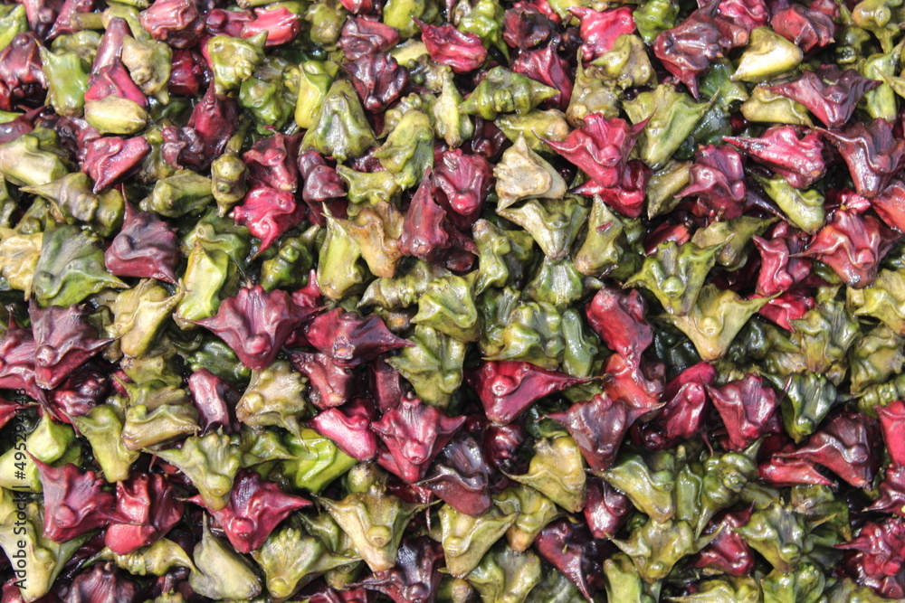 water caltrop background and many colour full water caltrop.. It is ...