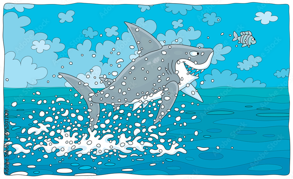 Funny great white shark and a small striped fish in splashes jumping ...