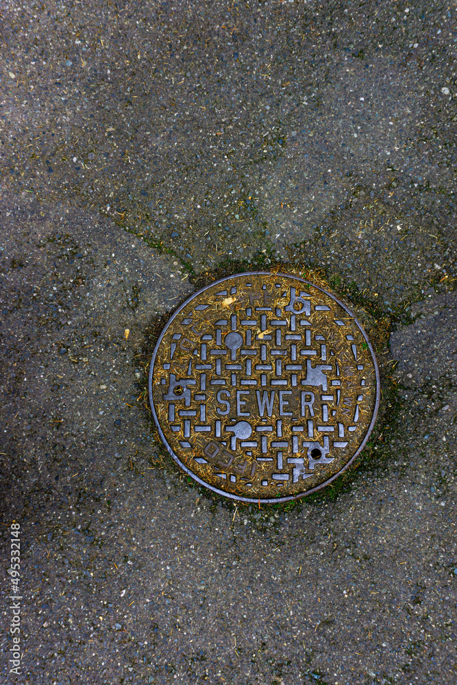 Sewer manhole cover surrounded by cement featuring green vegetation ...